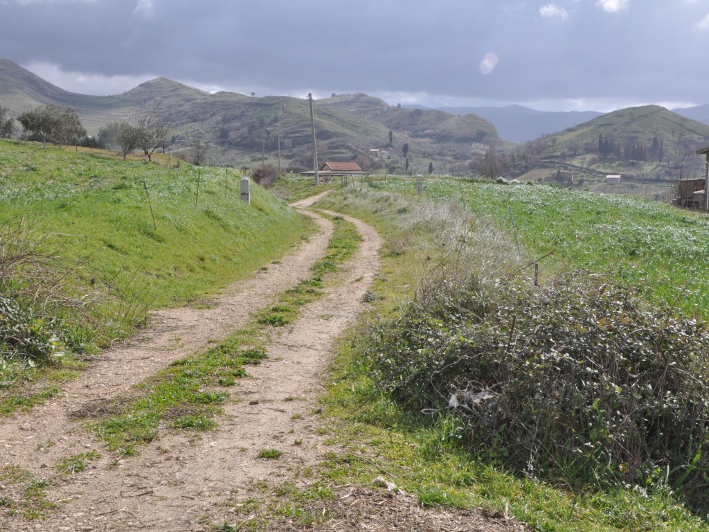 Pista ciclabile da Godrano a San Carlo